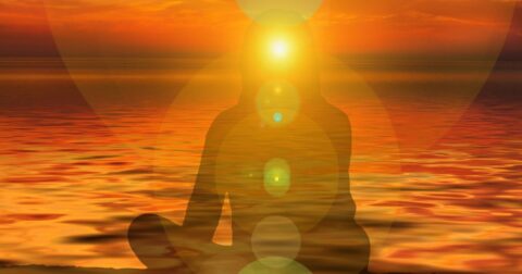 What Type of Energy Powers the Human Body & Why It Matters?